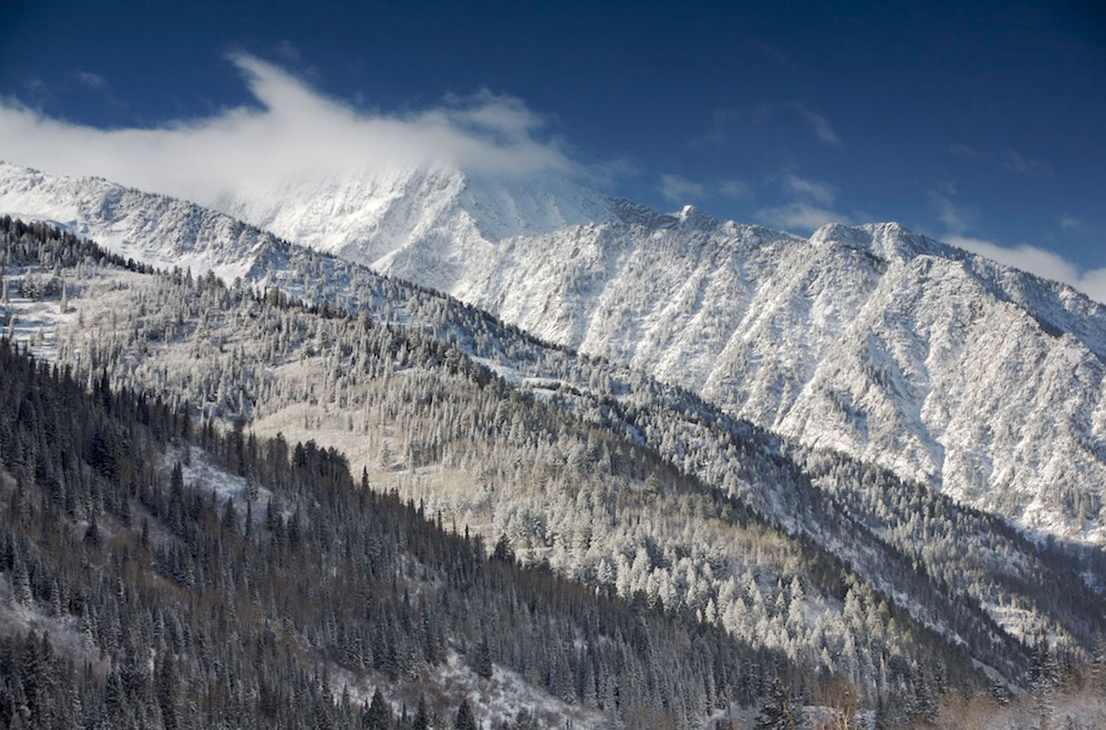 slide01 | Cottonwood Canyons Foundation