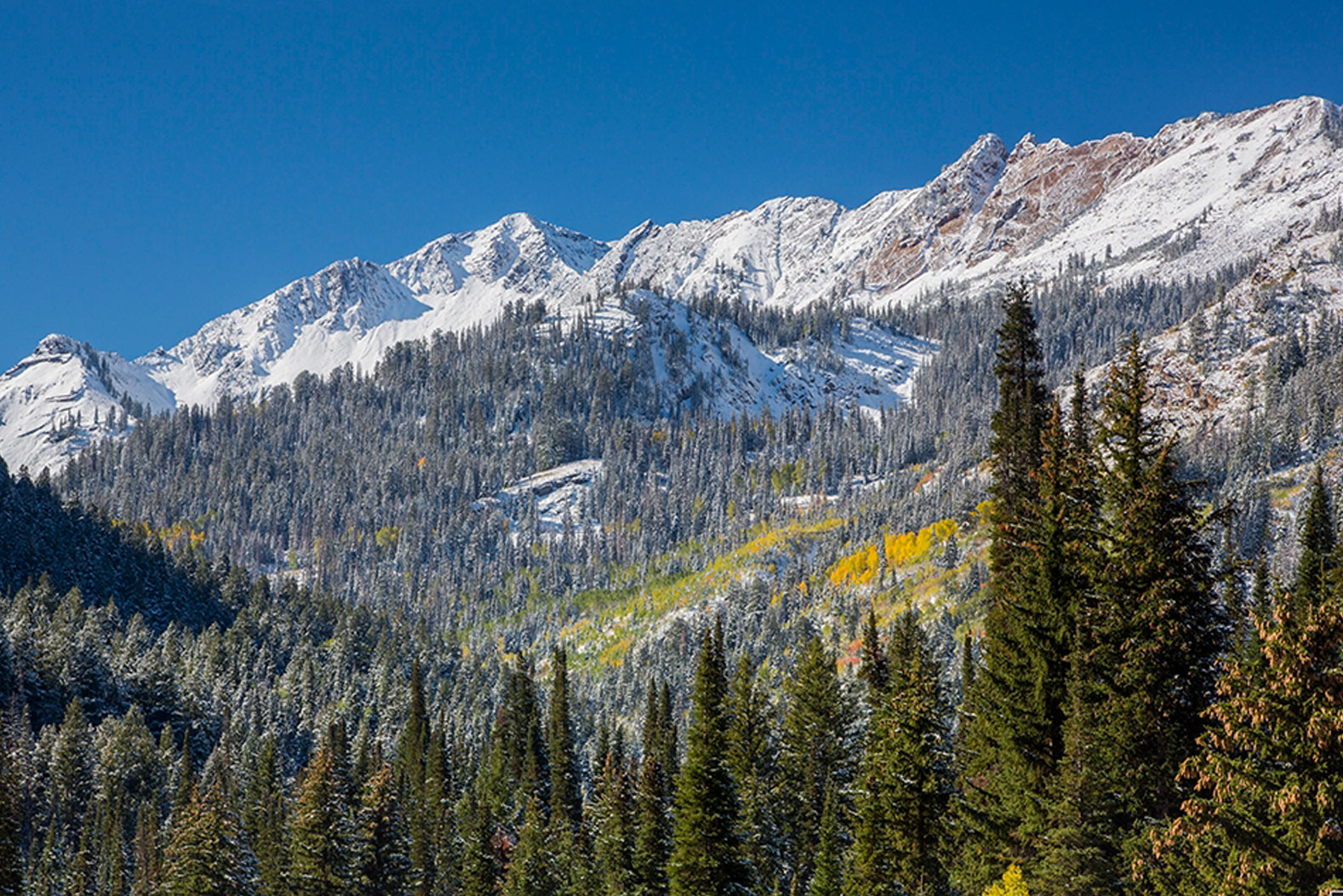 slide03 | Cottonwood Canyons Foundation