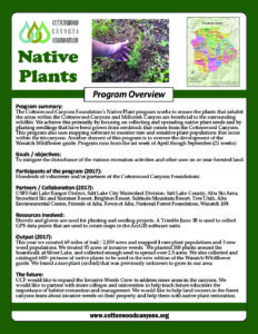 Native Plants Program Sheet new | Cottonwood Canyons Foundation