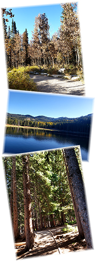 004 | Cottonwood Canyons Foundation