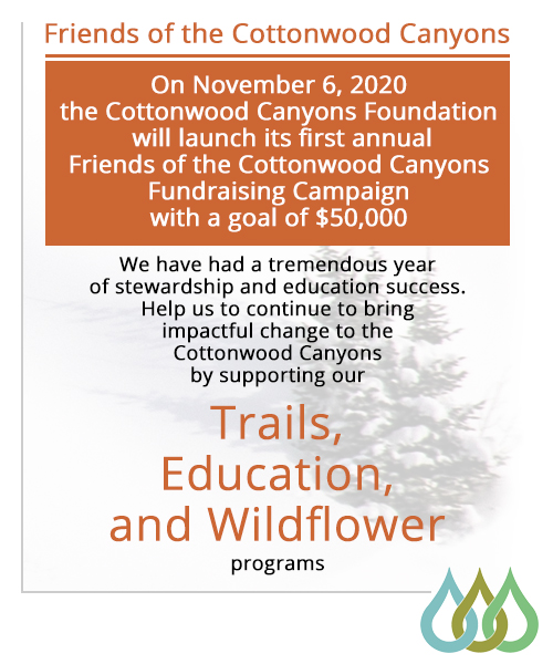 | Cottonwood Canyons Foundation