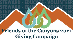 | Cottonwood Canyons Foundation