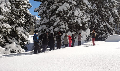 | Cottonwood Canyons Foundation