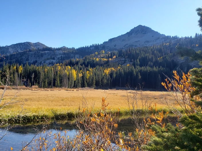 Cottonwood Canyons Foundation