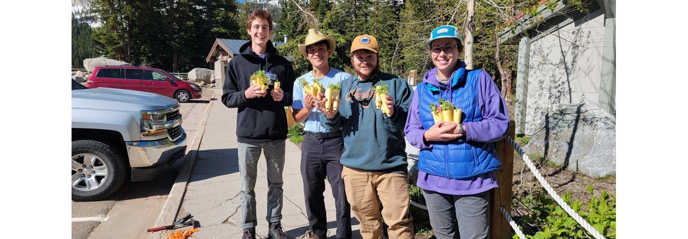 weeds_01 | Cottonwood Canyons Foundation