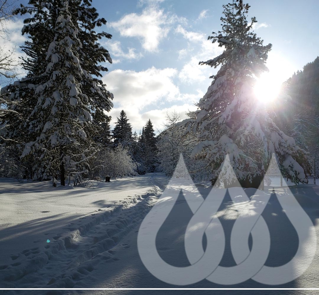 Cottonwood Canyons Foundation