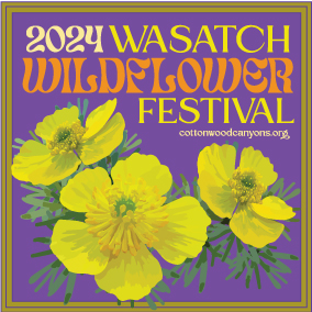 | Cottonwood Canyons Foundation