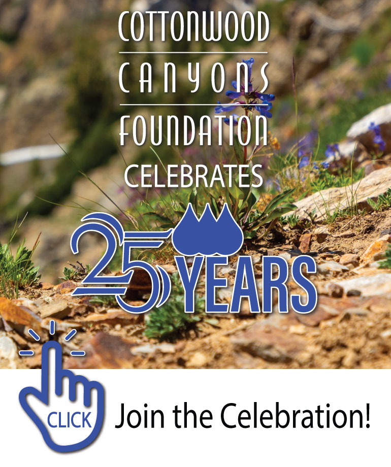 | Cottonwood Canyons Foundation