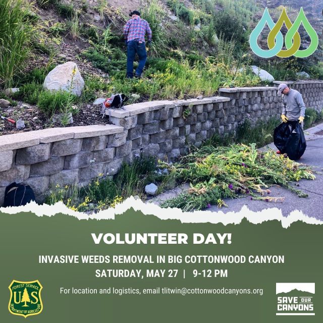 Courses – Cottonwood Canyons Foundation